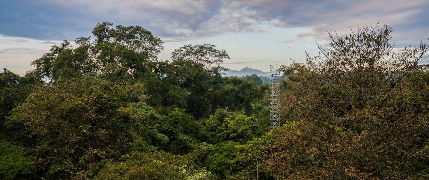 Research Stations - Organization for Tropical Studies