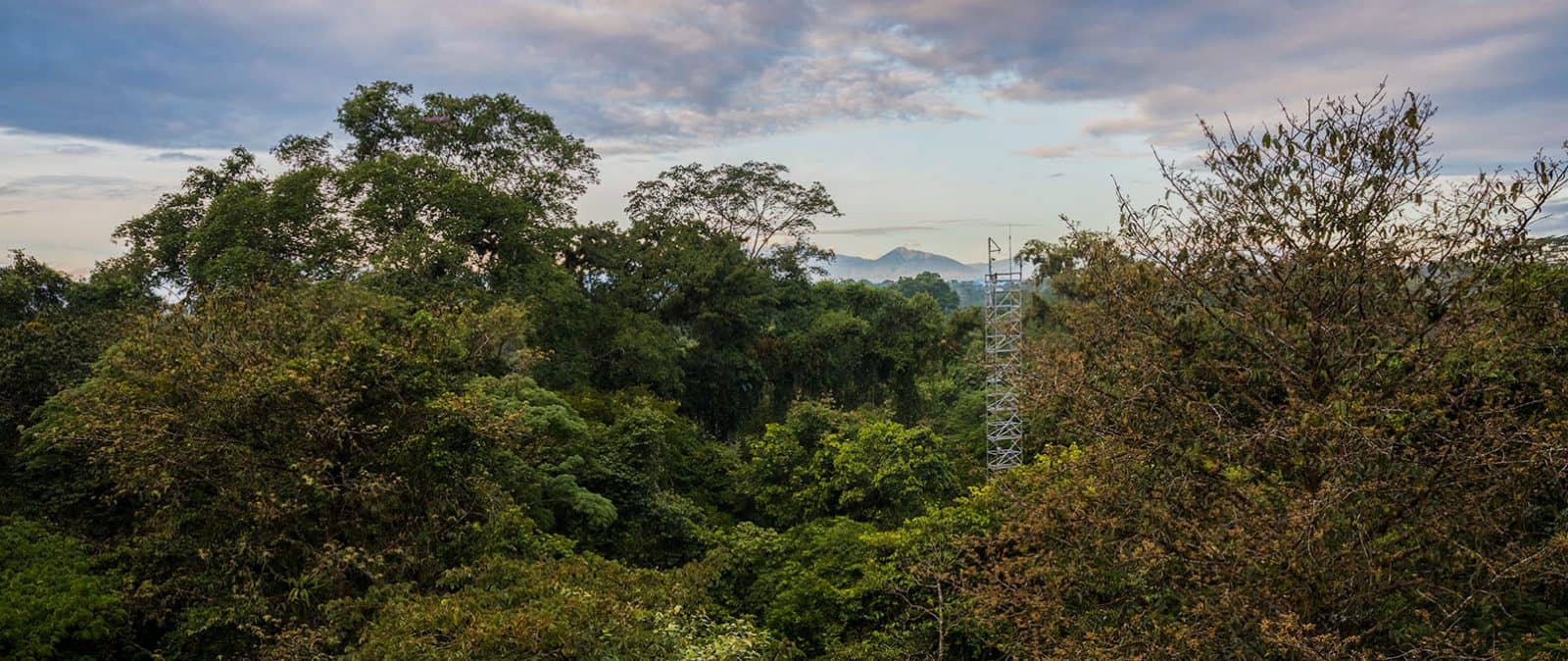 Research Stations - Organization for Tropical Studies