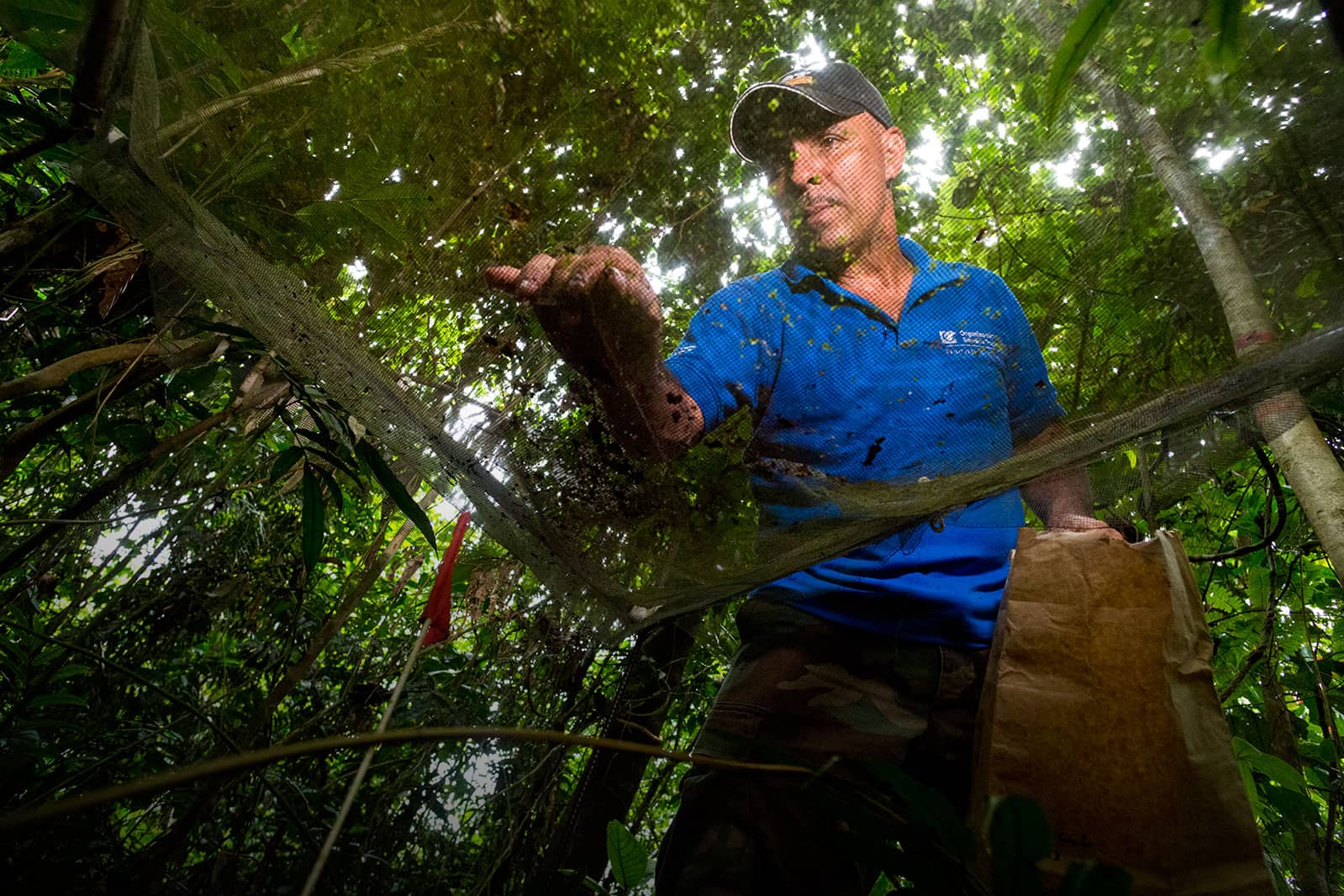 Welcome to Organization for Tropical Studies - Organization for ...