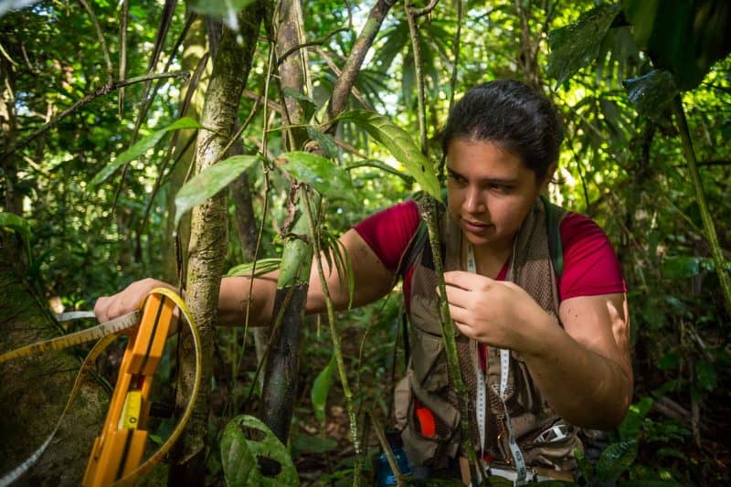 Information Resources - Organization for Tropical Studies