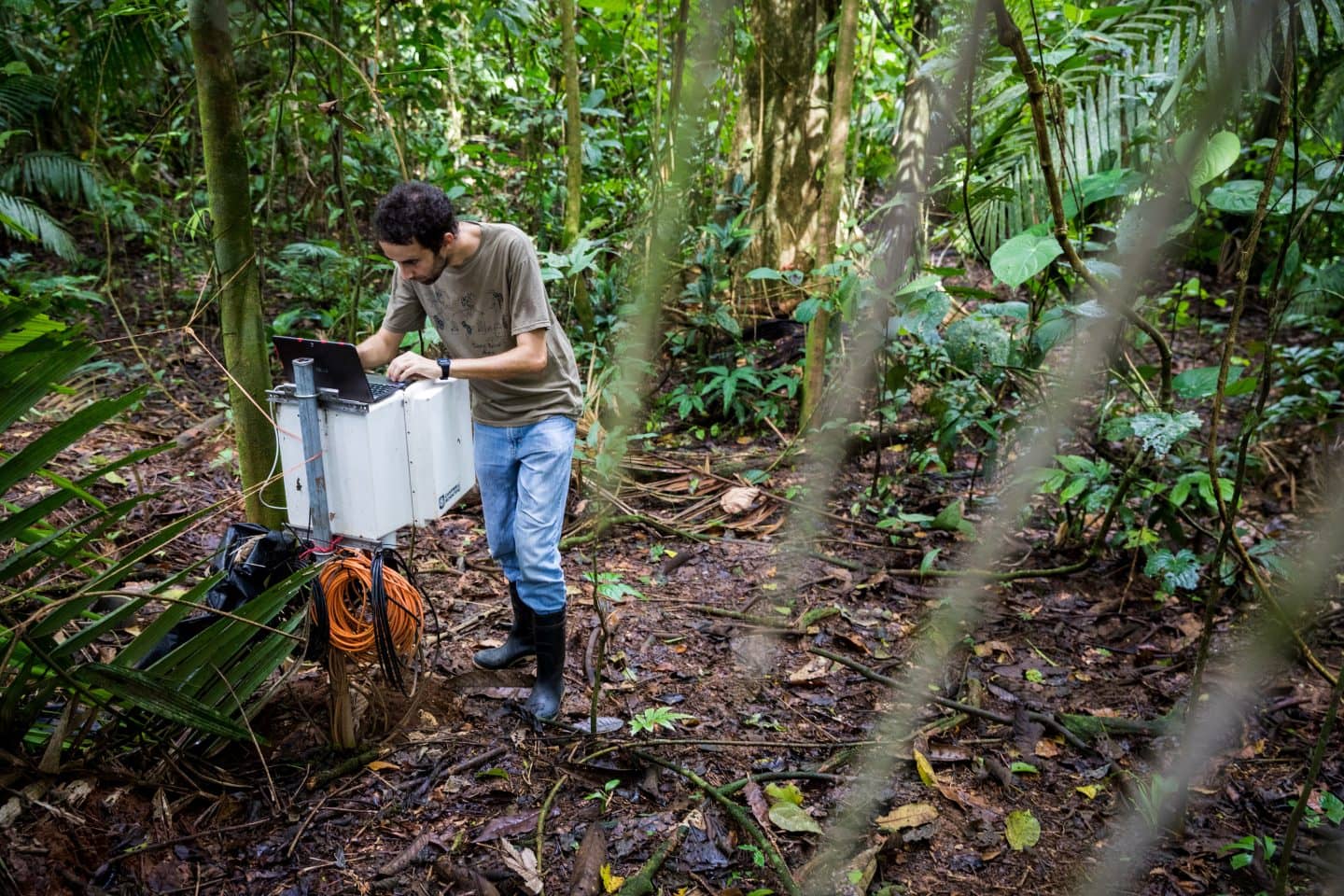 Information Resources - Organization for Tropical Studies