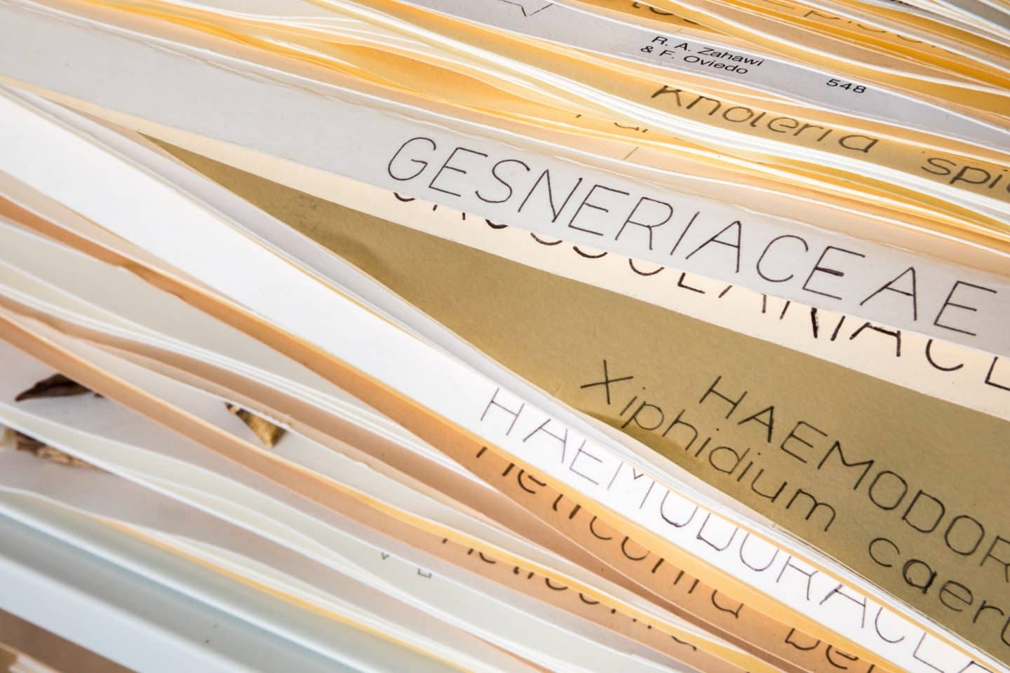 Information Resources - Organization for Tropical Studies