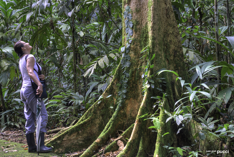 Natural History Visitors - La Selva - Organization for Tropical Studies