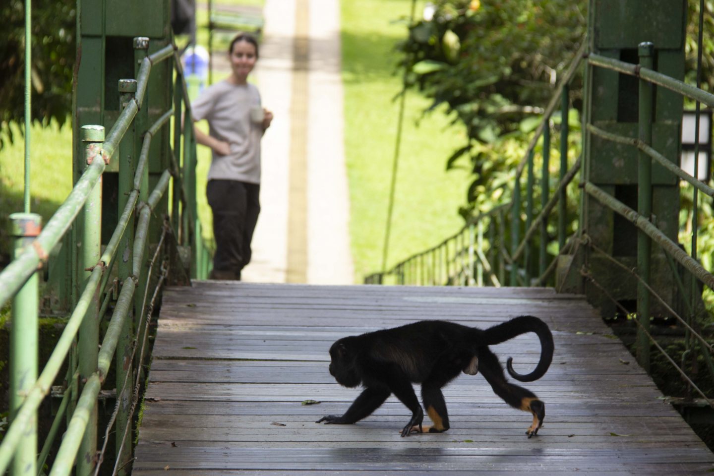 FAQs - Organization for Tropical Studies