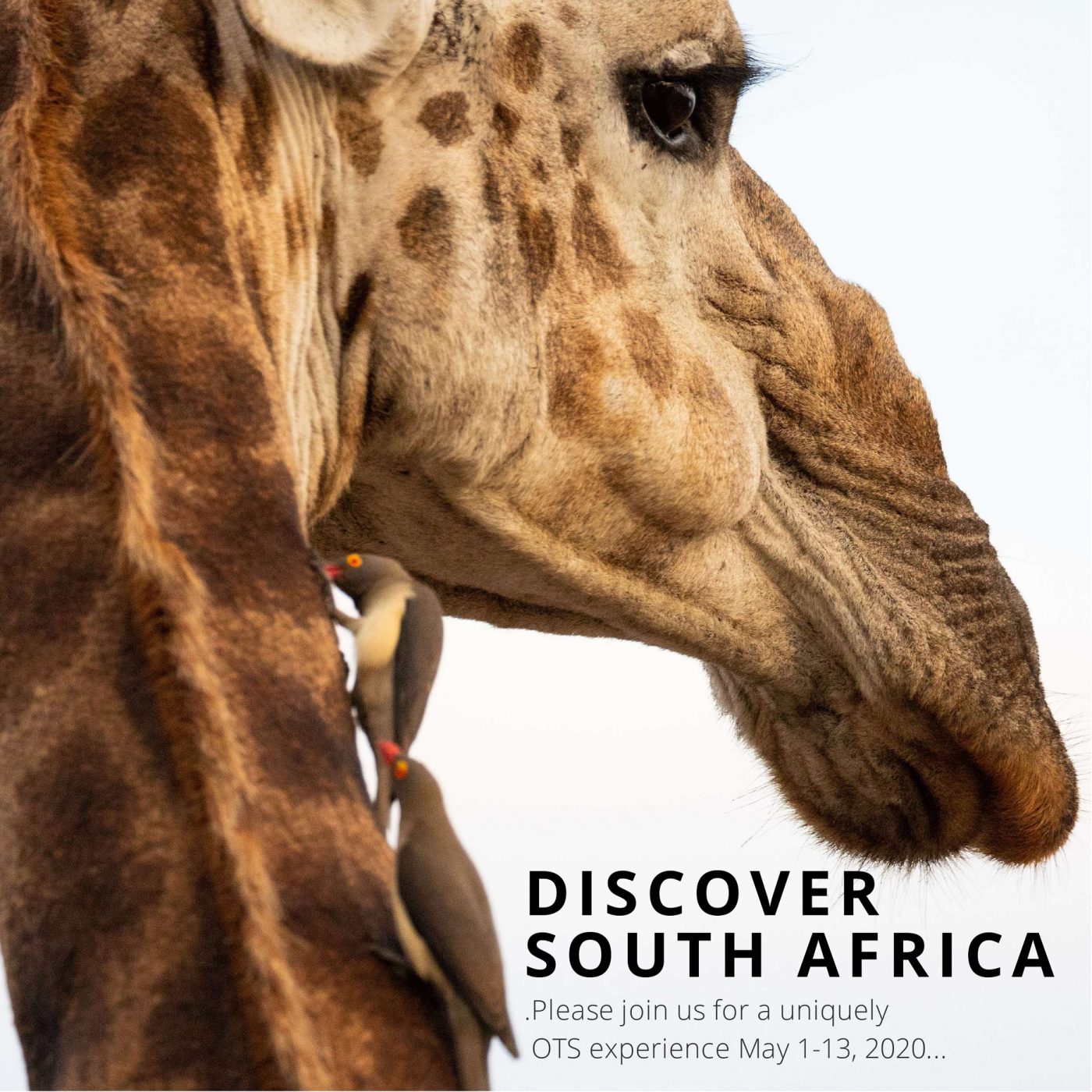 Discover South Africa - Organization for Tropical Studies