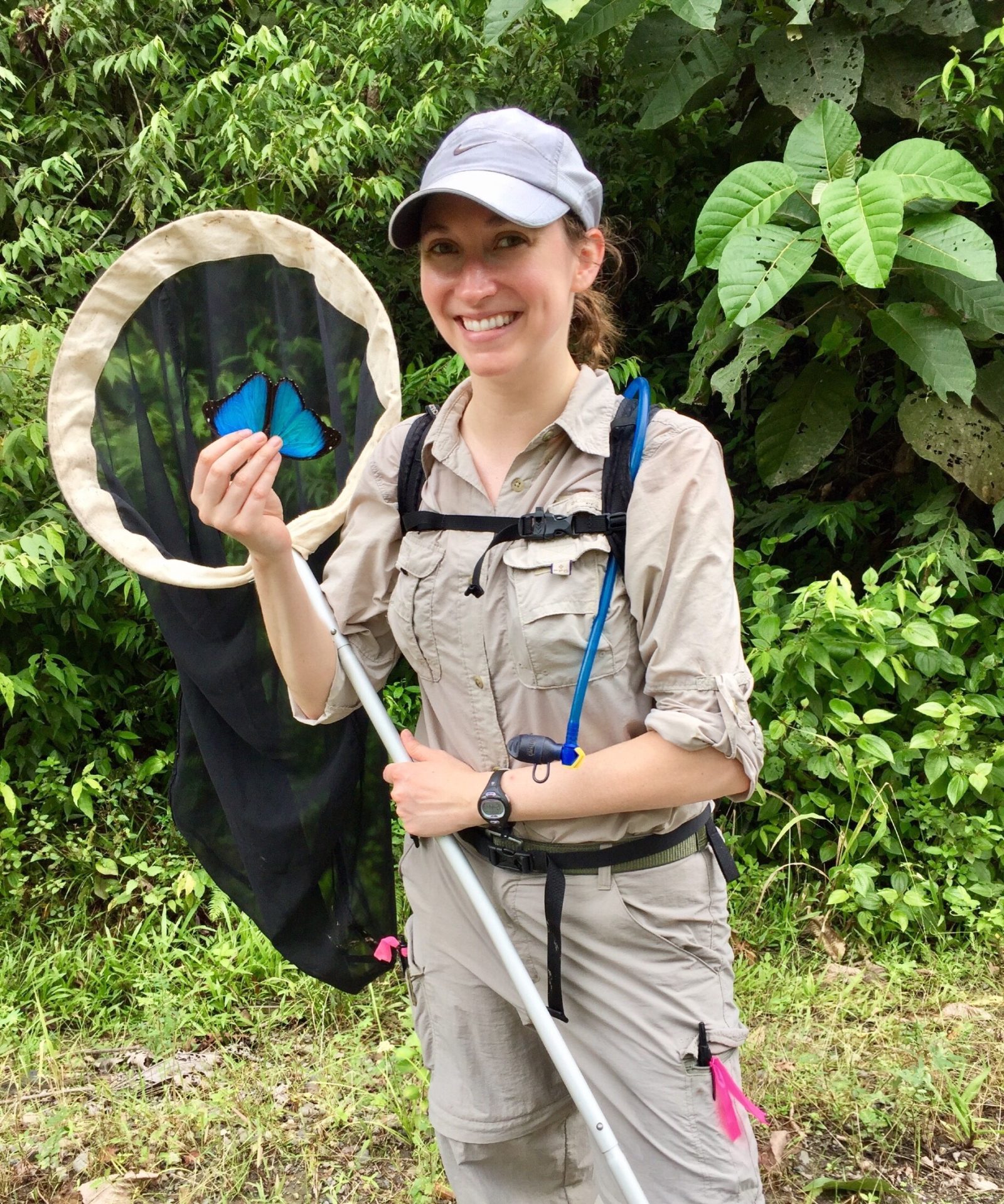 Tropical Butterfly Ecology - Intro Course 2026 - Organization for ...