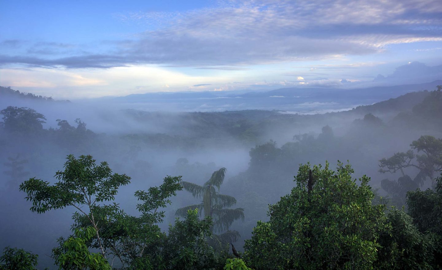 Tropical Biology on a Changing Planet - Organization for Tropical Studies