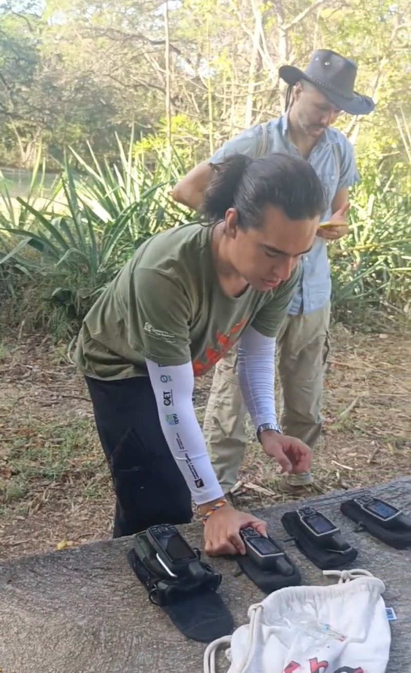 Beyond Endangered: A New Look at the “Guayacán Real” - Organization for ...